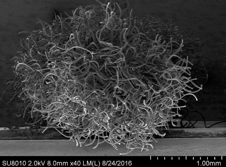 PTT fibre improves bulk and shape retention