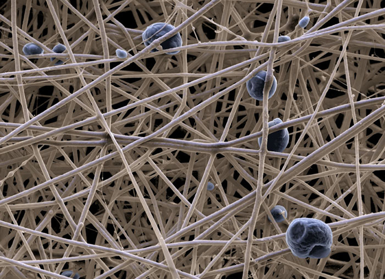 Cotton Inc explores antimicrobial technology