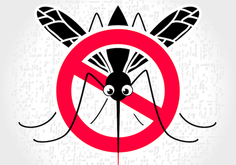 US military develops insect repellent fibres